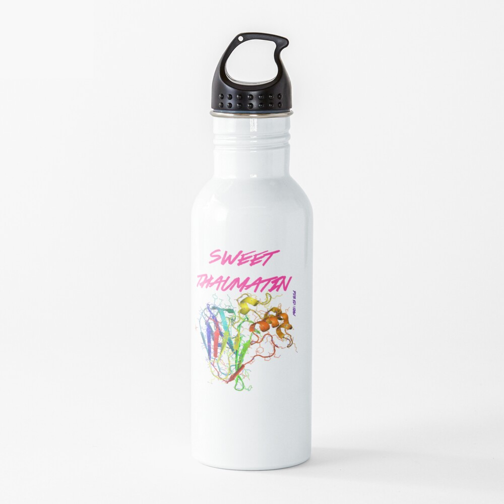 MERCH SHOP – THE SWEET PROTEIN SHOP